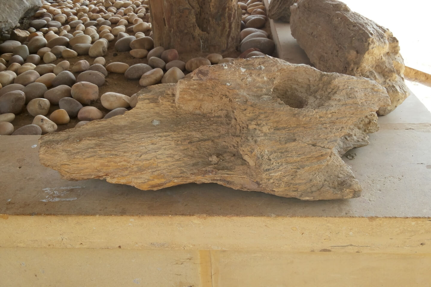 Akal Wood Fossil Park Jaisalmer (Entry Fee, Timings, Images & Location ...